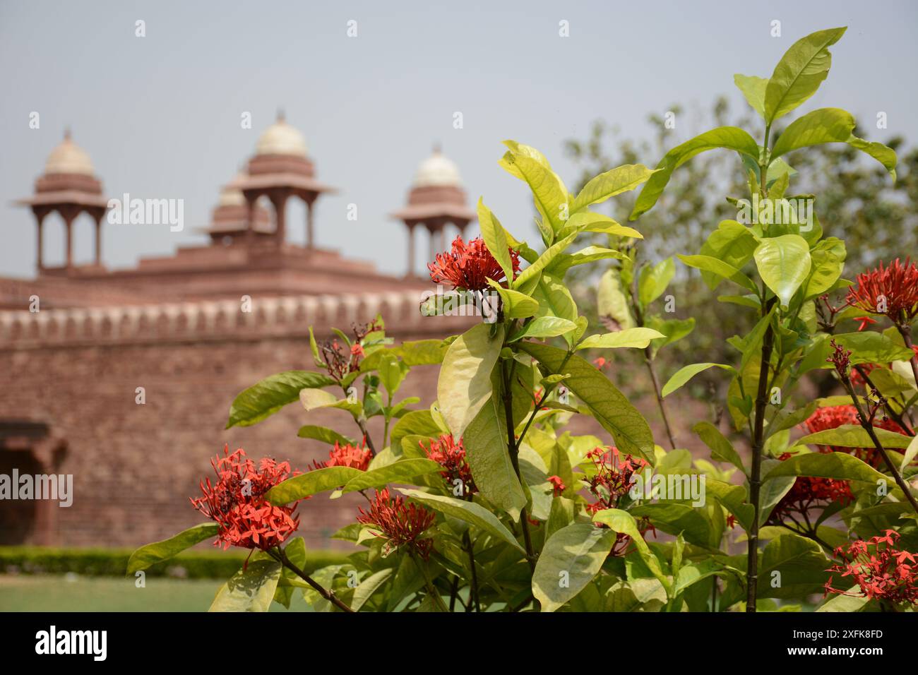 Nature of India Stock Photo - Alamy