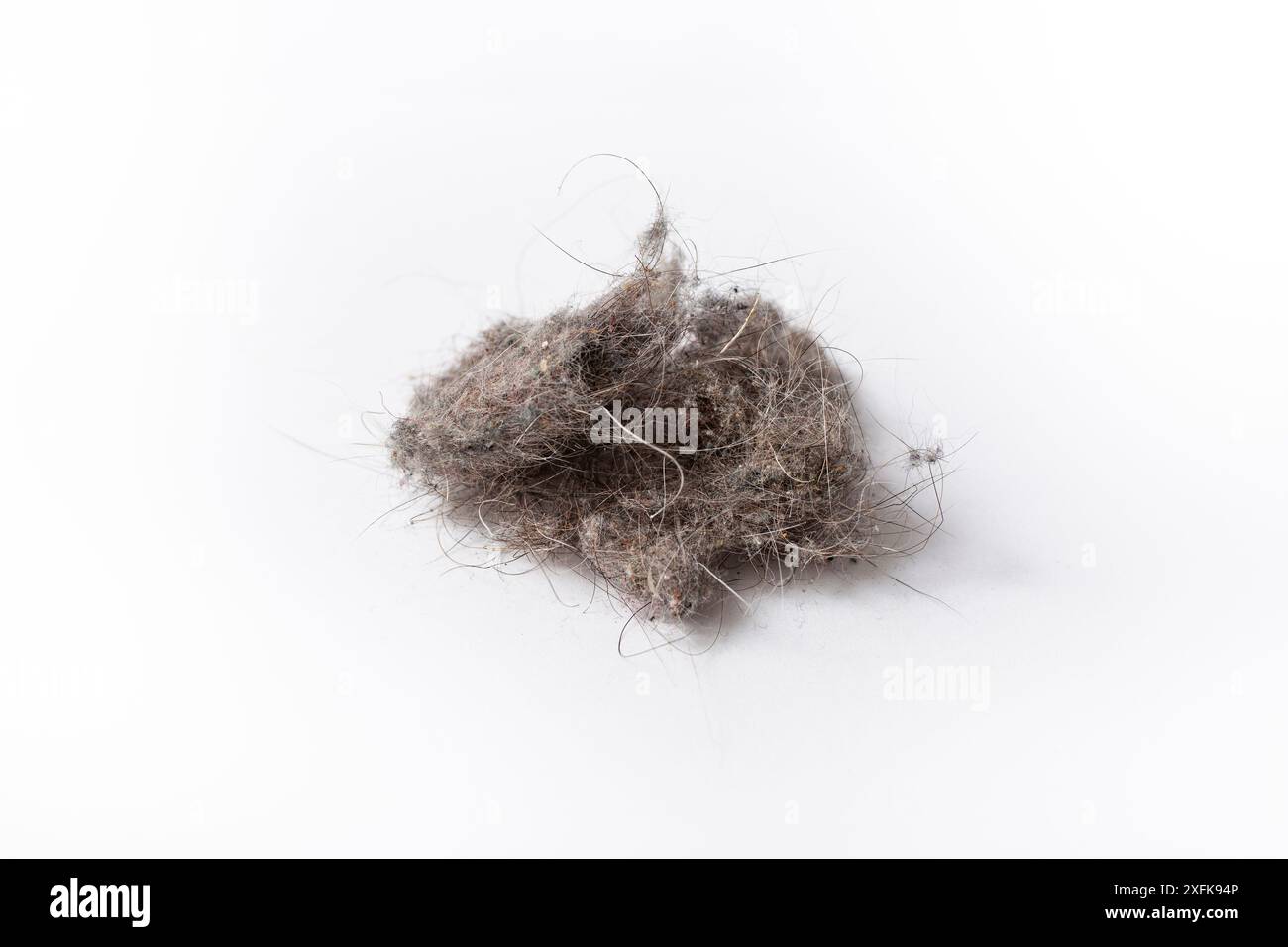 Dust and animal hair ball from a vacuum cleaner on white background ...