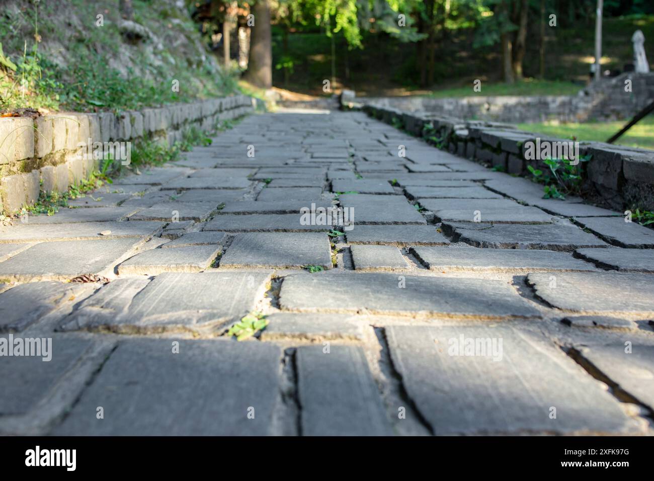 Perspective photography of a stone alley thru the forest Stock Photo ...