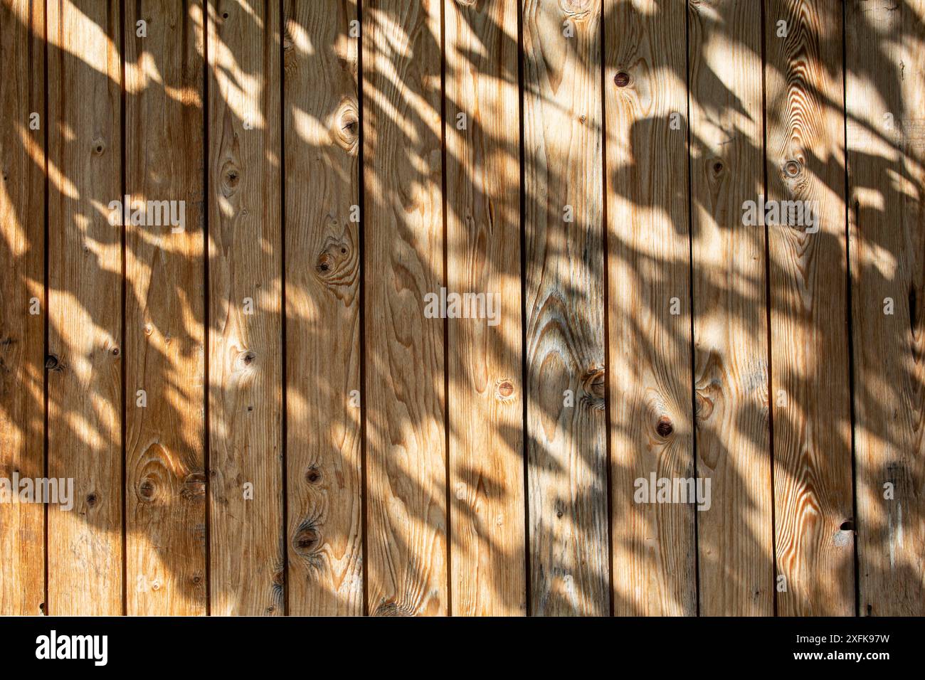 Tree foliage shadows on wooden boards wall, abstract texture backdrop ...