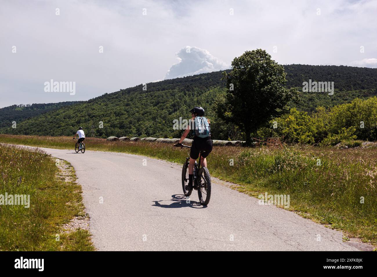 Back view of two road cyclists, male and female during training at ...