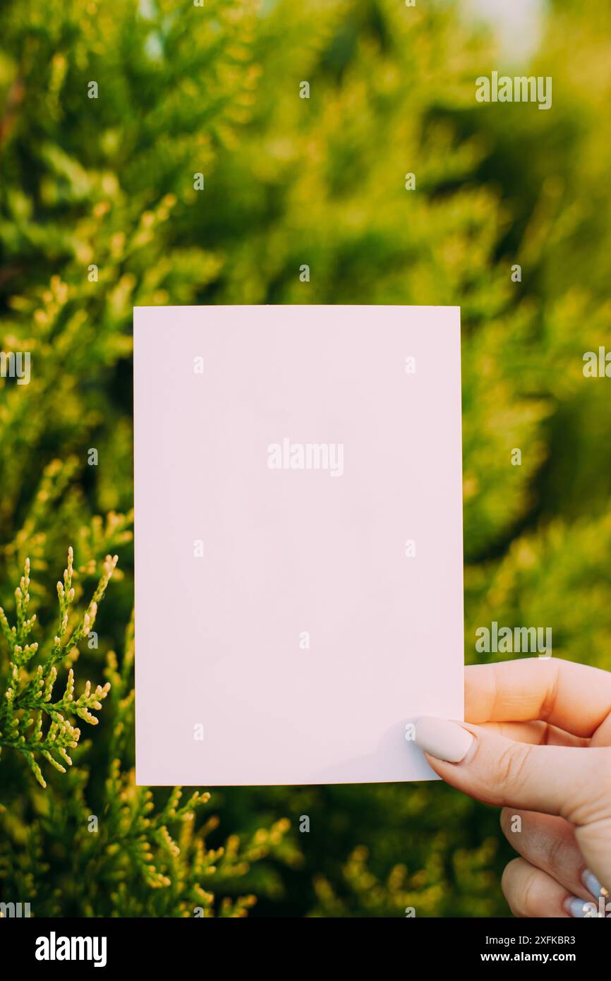 Paper empty blank background backdrop against garden bokeh. Copy space ...