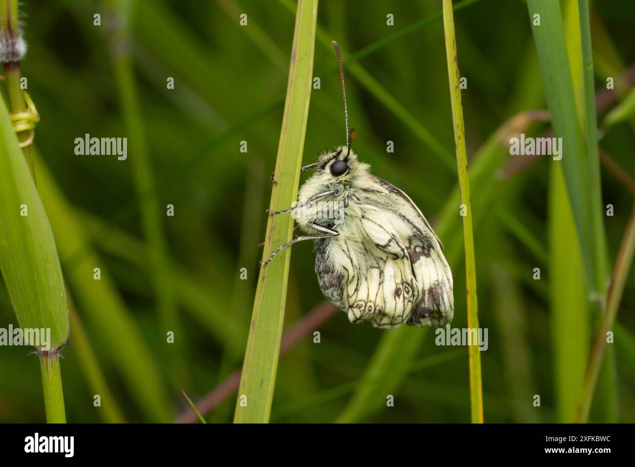 Side fills hi-res stock photography and images - Alamy