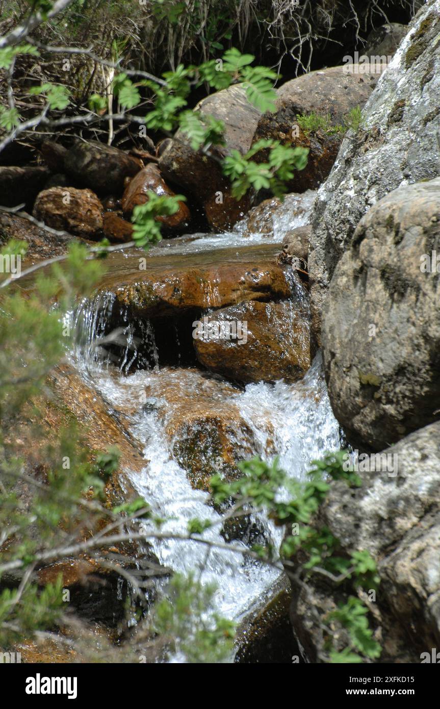 Clean water running down the river with some stones Stock Photo - Alamy