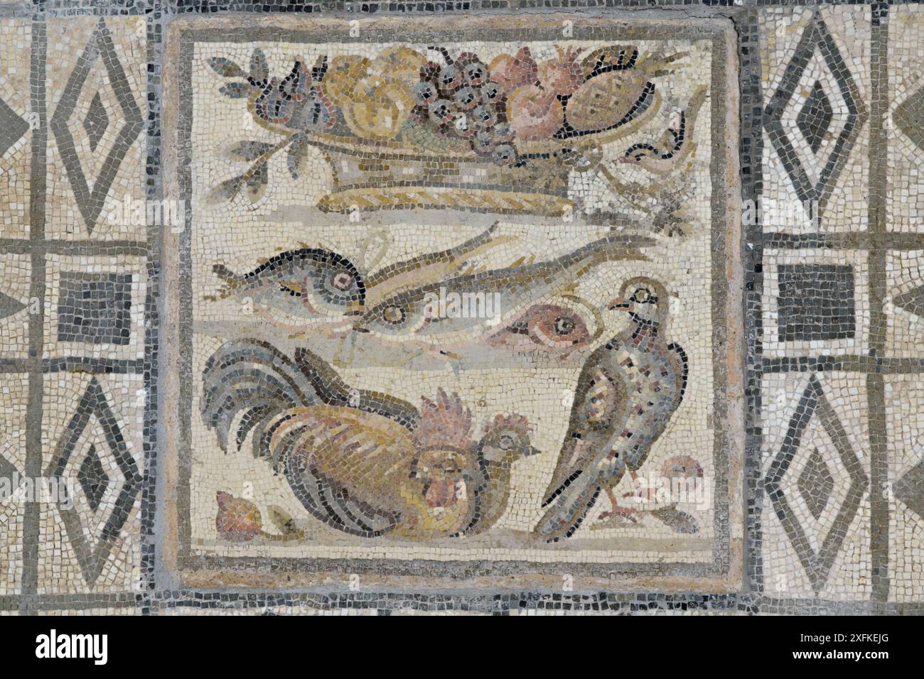 Floor mosaic depicting birds, fish and fruit basket. Opus vermiculatum ...