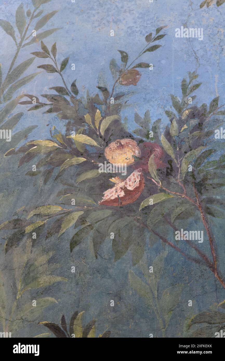 House of livia rome hi-res stock photography and images - Alamy