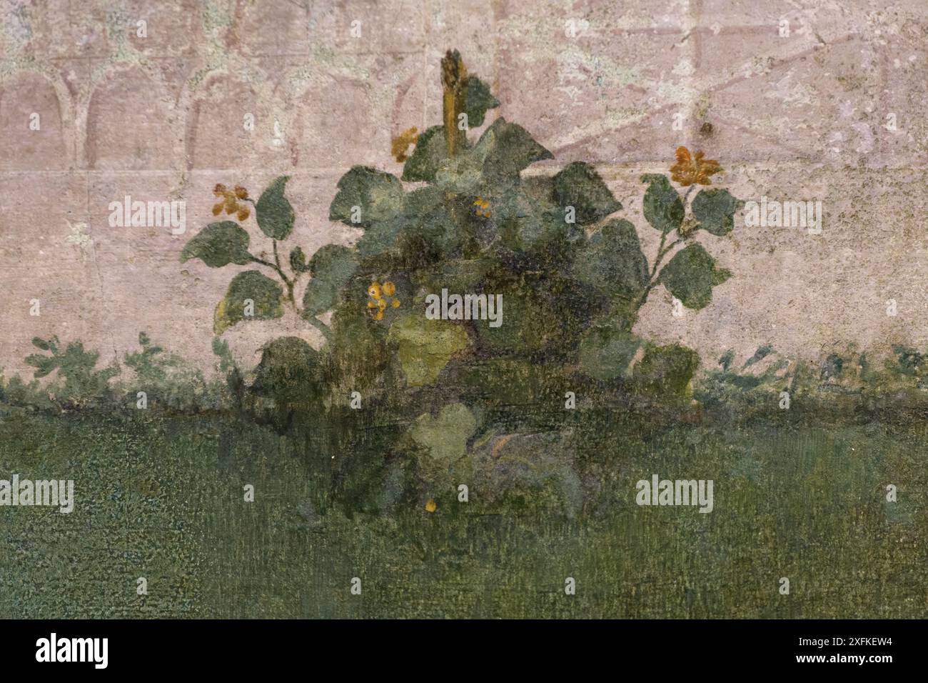 House of livia fresco hi-res stock photography and images - Alamy