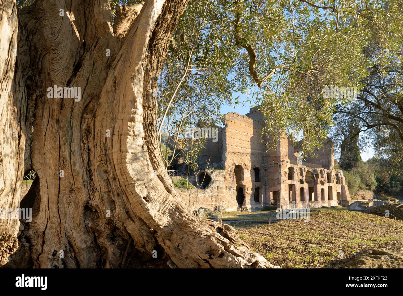 Hadrian's Villa (Villa Adriana; Villa Hadriana) - The Nymphaeum and old ...
