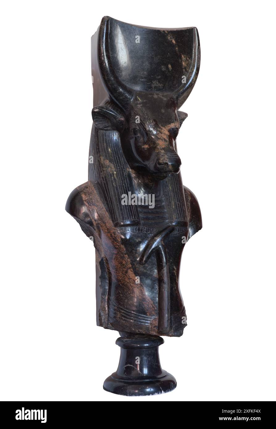 New Kingdom, head of the Apis (Hapis) bull, 1550-1070 BC, from Memphis ...