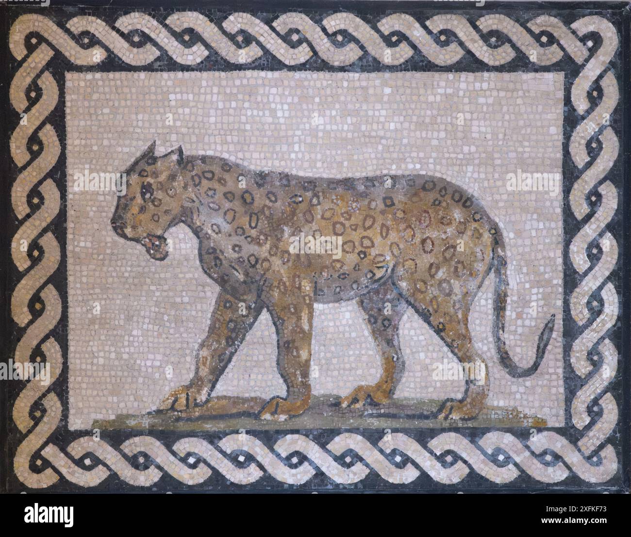 Mosaic leopard hi-res stock photography and images - Alamy