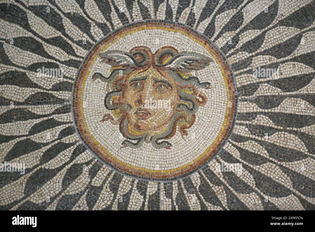 Medusa gorgona hi-res stock photography and images - Alamy