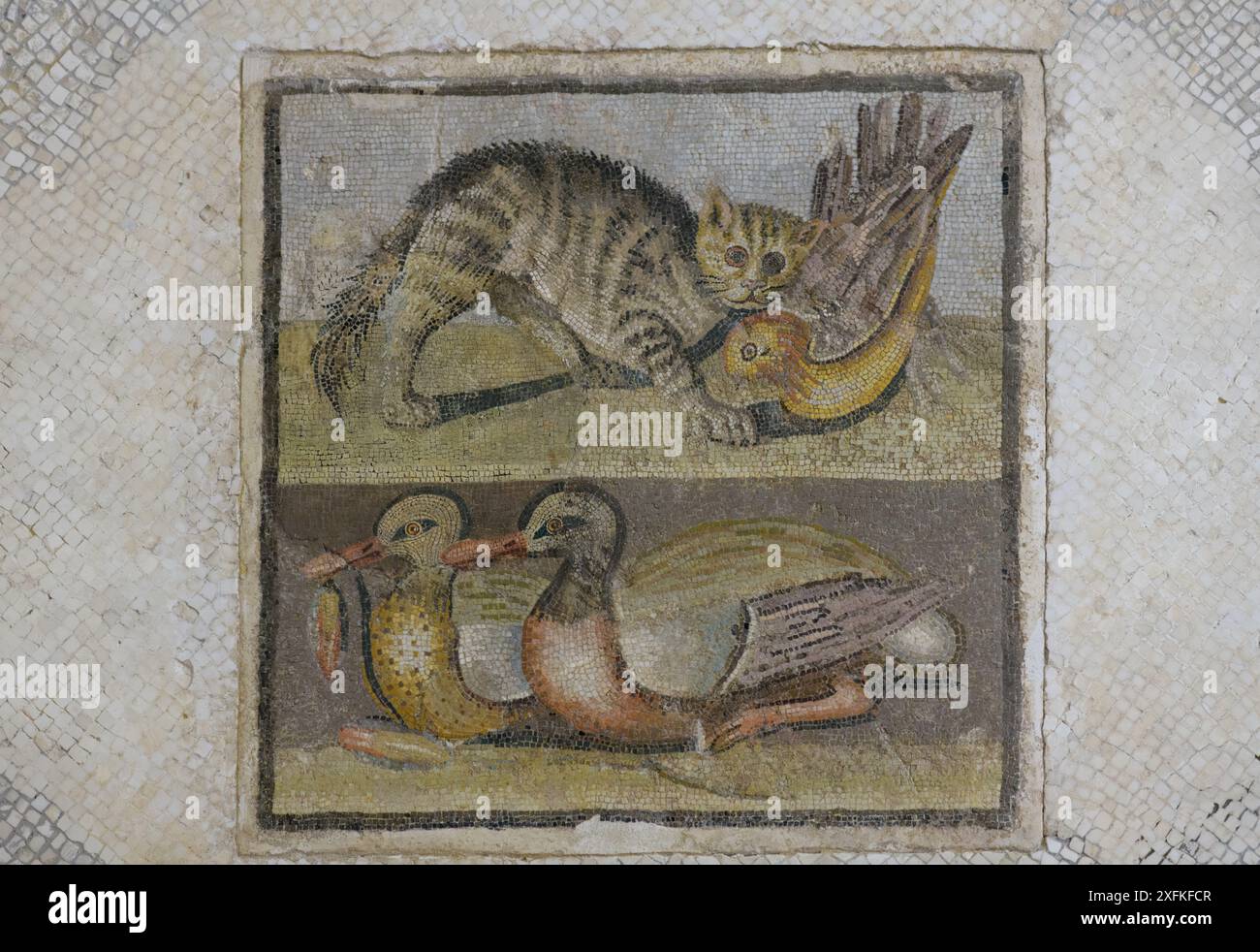 Ancient roman cat mosaic hi-res stock photography and images - Alamy