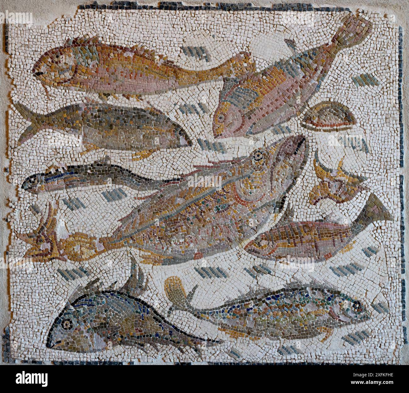Ancient mosaic representing fish. Rome Stock Photo - Alamy