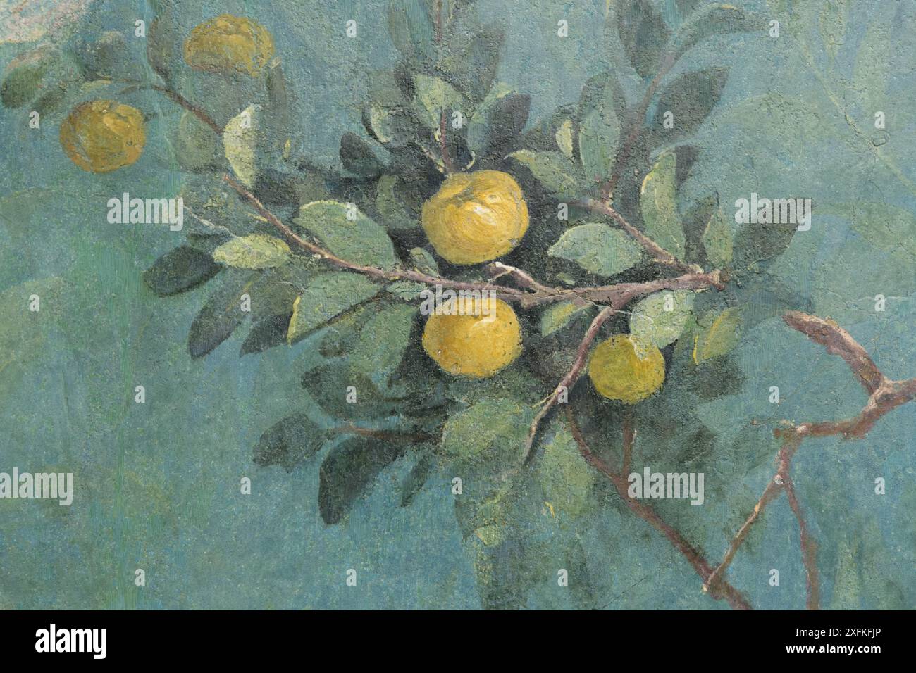 Villa of Livia - Garden Room Fresco. Rome, Italy Stock Photo - Alamy