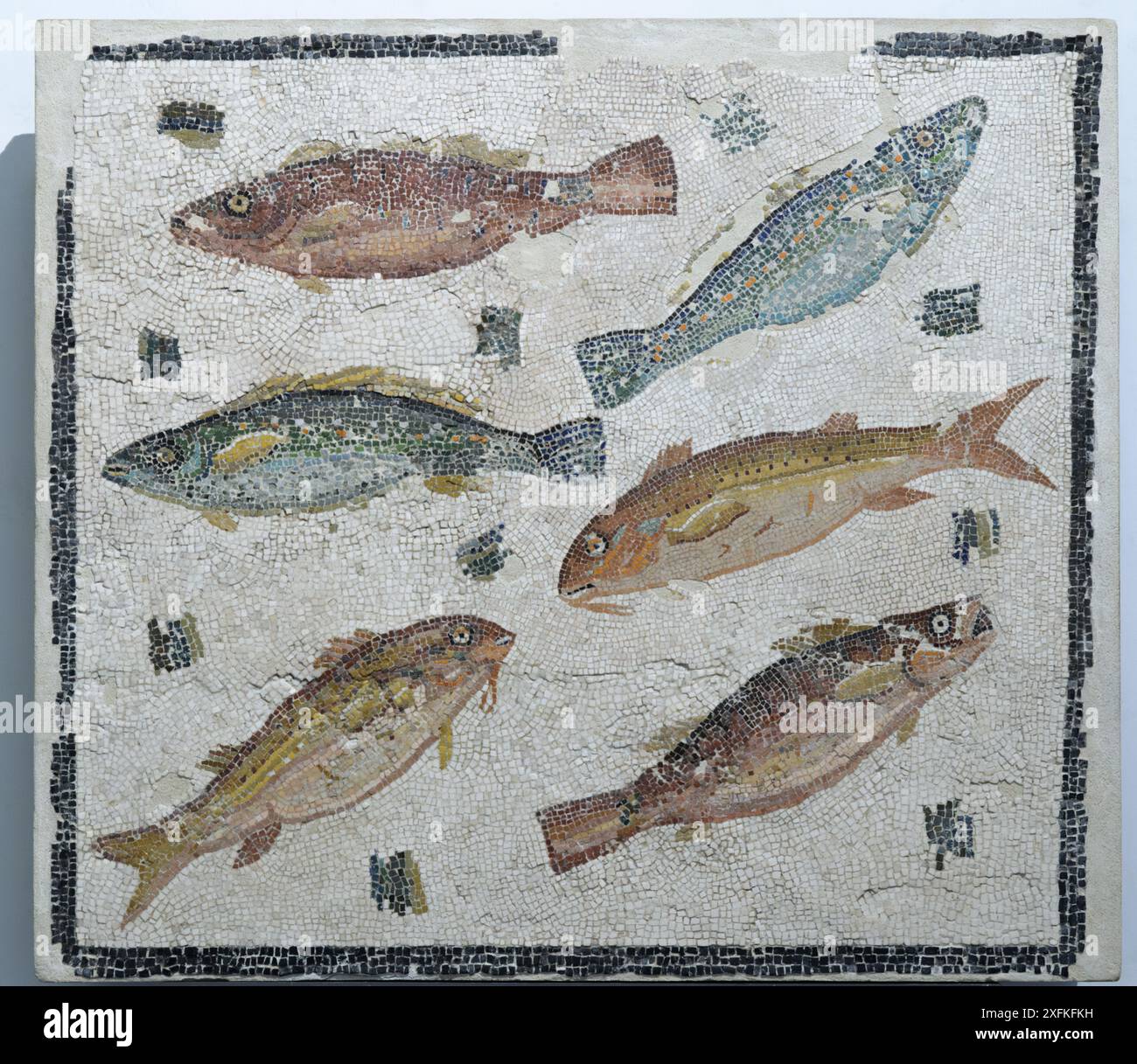 Ancient mosaic representing fish. Rome Stock Photo - Alamy