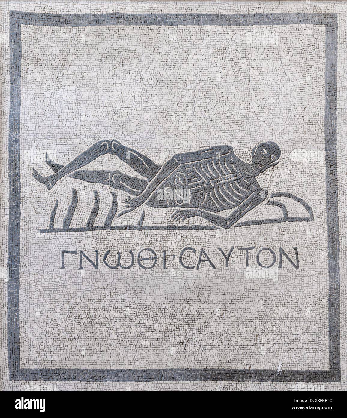 Mosaic depicting human skeleton and the inscription "Know thyself ...