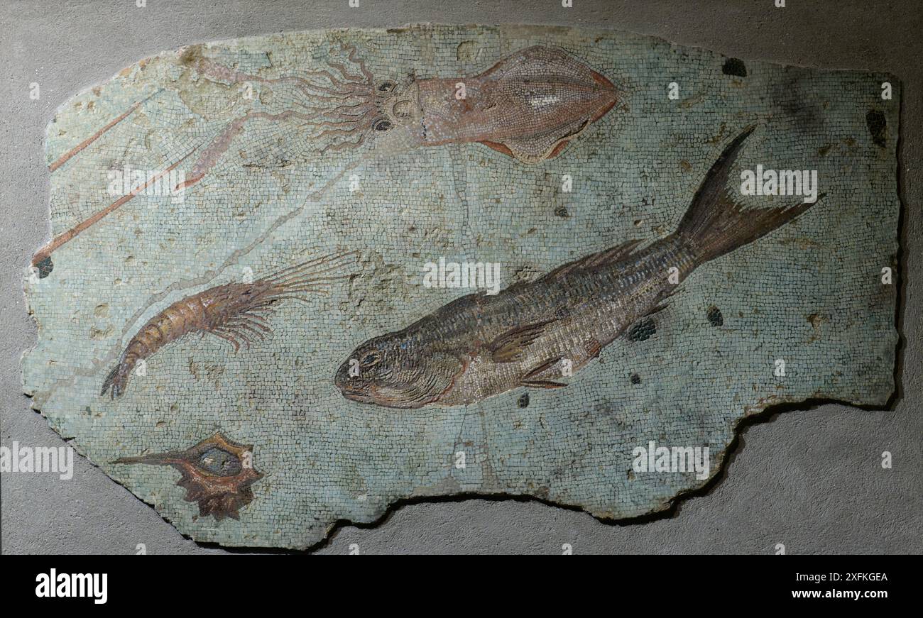 Ancient roman mosaic with maritime scenes, from the Via Panisperna in ...