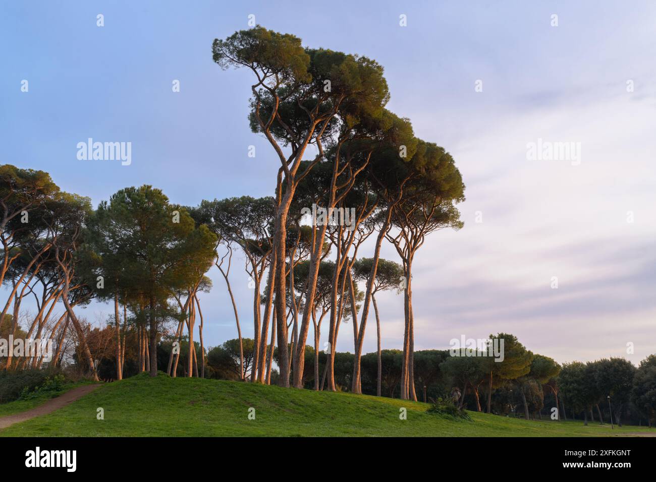 Villa pamphili sunset hi-res stock photography and images - Alamy
