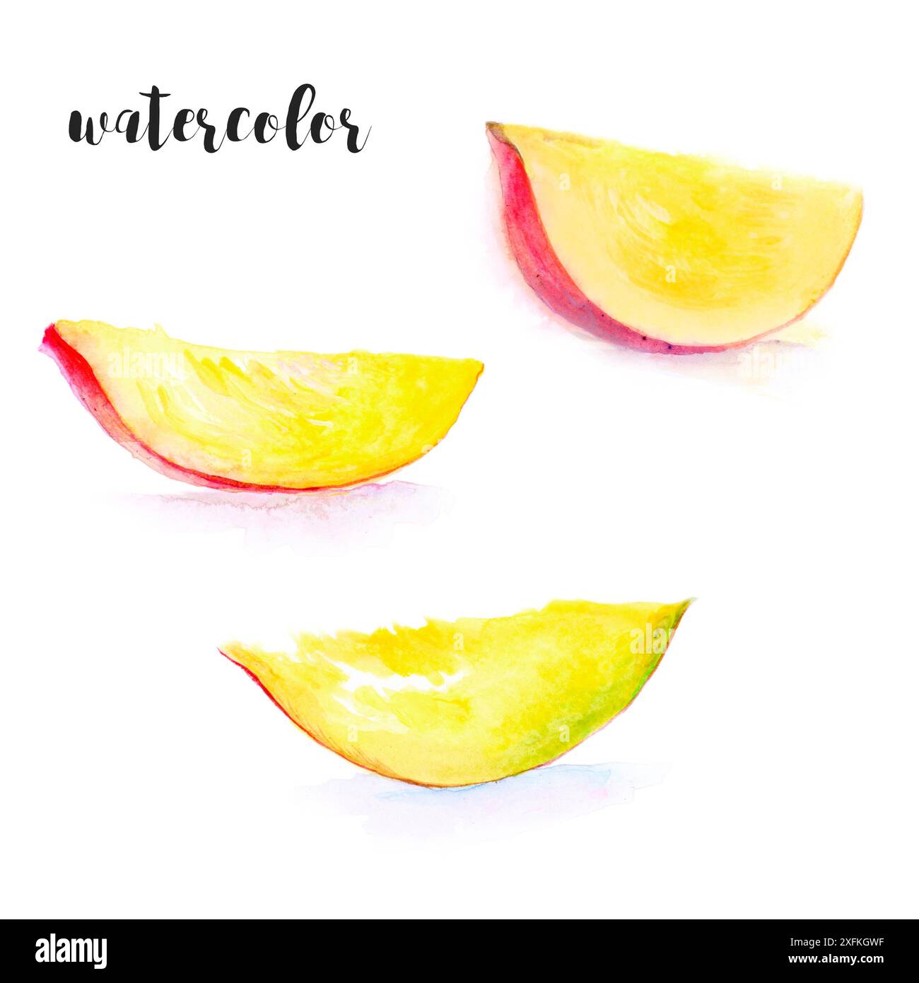 Watercolor painting featuring mango slice, a vibrant and delicious ...