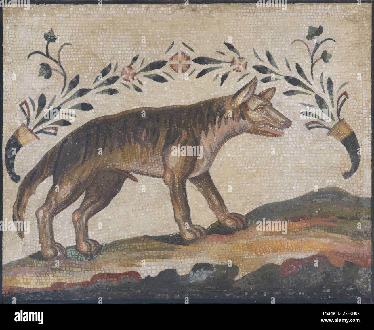 Roman mosaic of wolf. Rome Stock Photo - Alamy