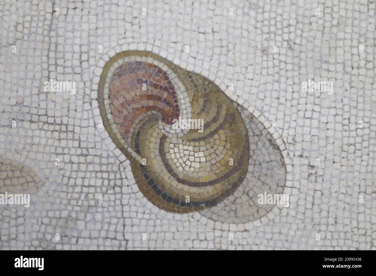 Asarotos oikos mosaic (Ancient Greek: ἀσάρωτος οἶκος "the unswept floor ...