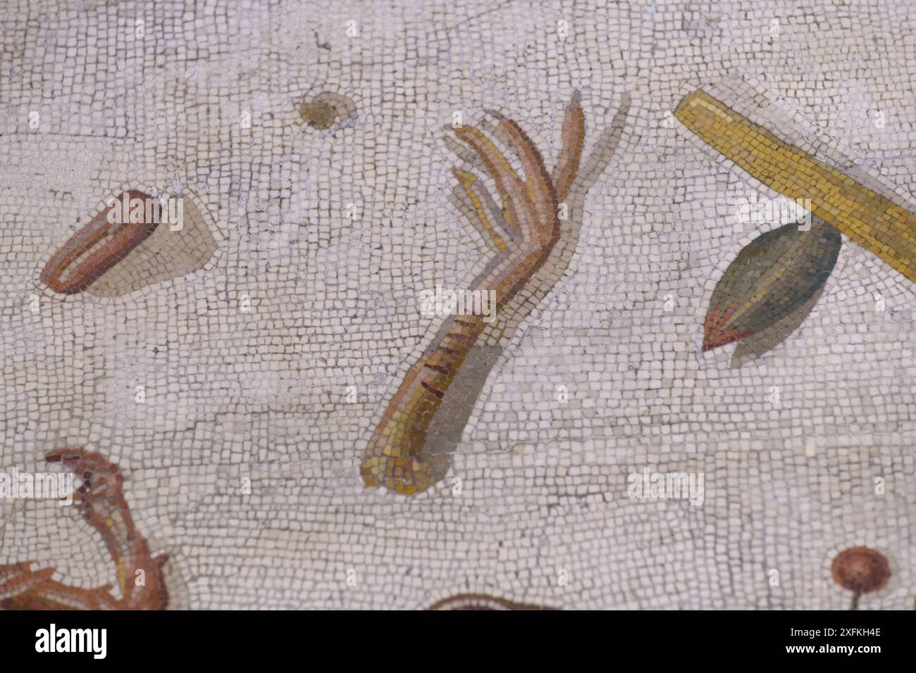 Asarotos oikos mosaic (Ancient Greek: ἀσάρωτος οἶκος "the unswept floor ...