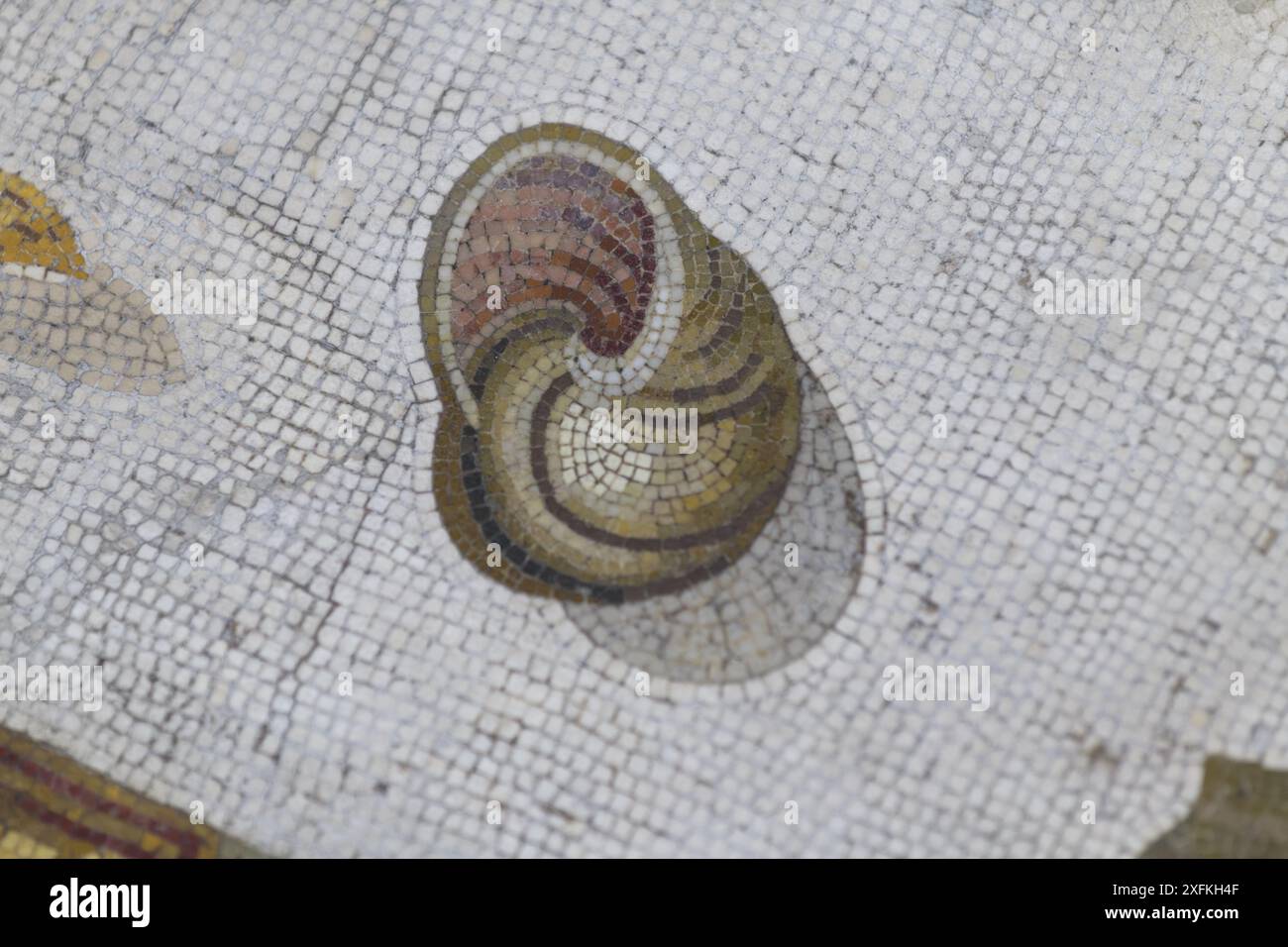 Asarotos oikos mosaic (Ancient Greek: ἀσάρωτος οἶκος "the unswept floor ...