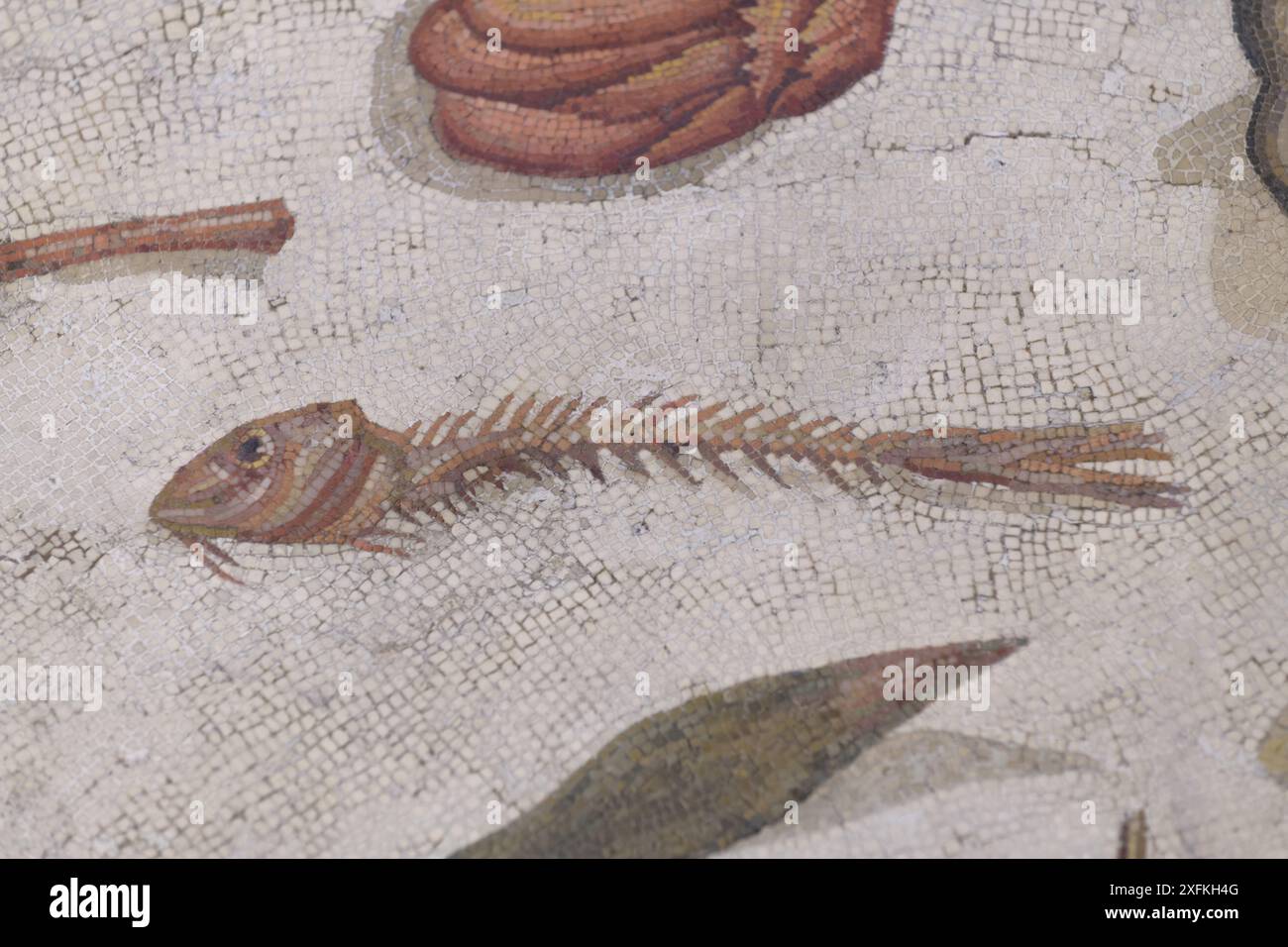 Asarotos oikos mosaic (Ancient Greek: ἀσάρωτος οἶκος "the unswept floor ...