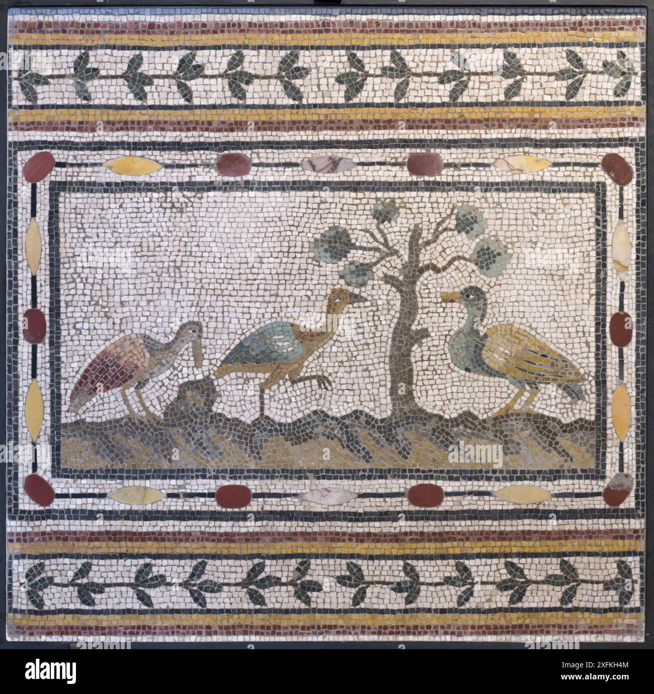 Ancient roman mosaic with birds. Vatican Stock Photo - Alamy