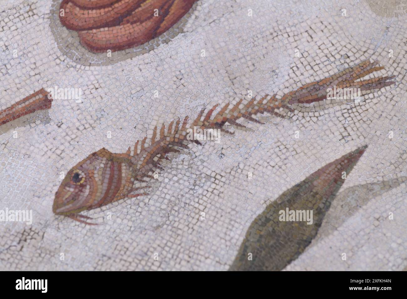 Asarotos oikos mosaic (Ancient Greek: ἀσάρωτος οἶκος "the unswept floor ...
