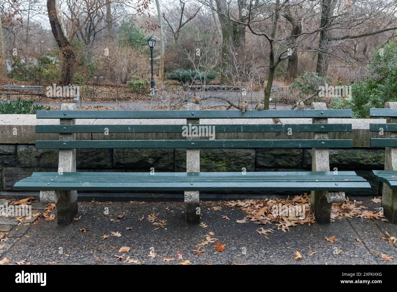 Empty park bench covered hi-res stock photography and images - Alamy