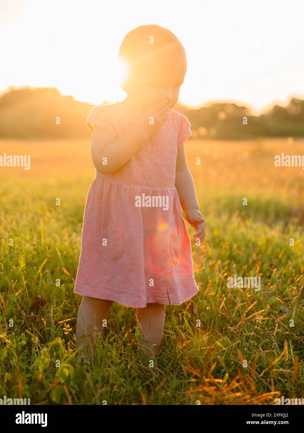 Portrait of infant child girl in pink dress with sunshine sunset light ...