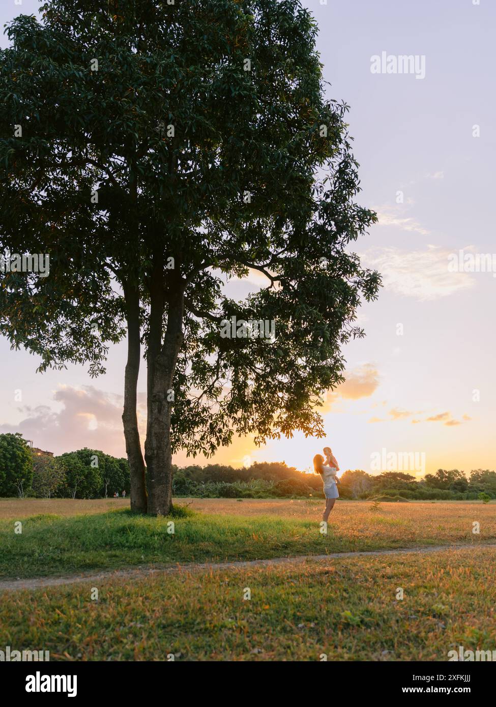 Mother and her baby girl staying under tree in park at sunset Stock ...