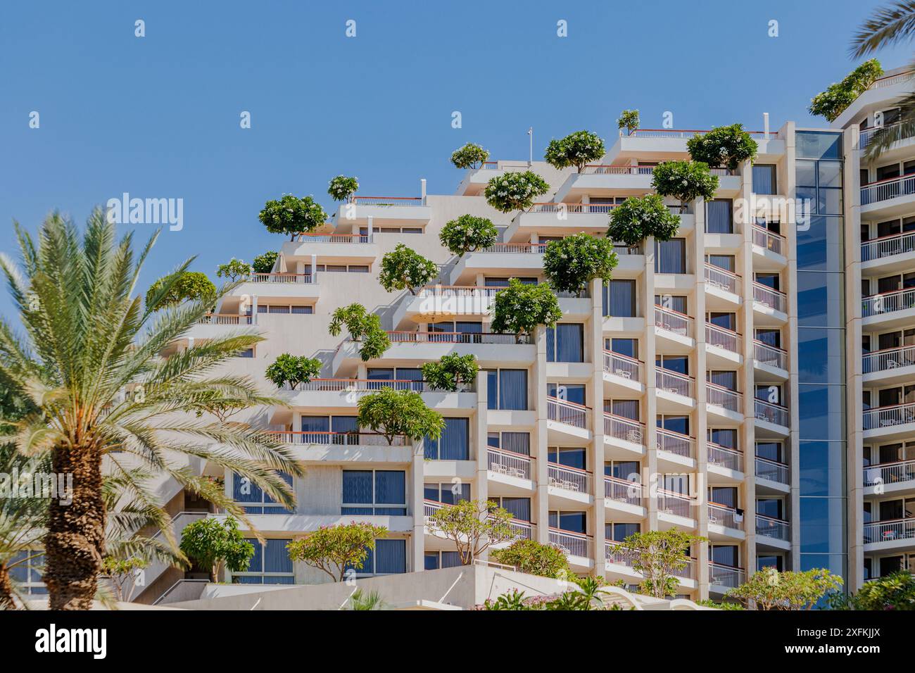 Dan Hotel in Eilat, Israel is a luxury hotel on the Red Sea coast ...