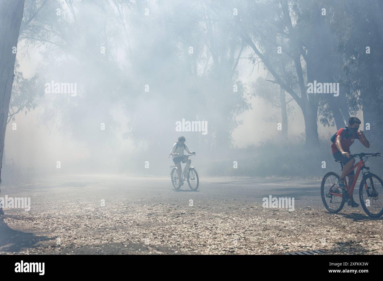 People escape from a fire with lots of smoke. tree devoured by flames ...