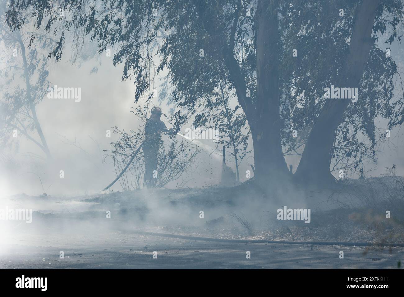 People escape from a fire with lots of smoke. tree devoured by flames ...