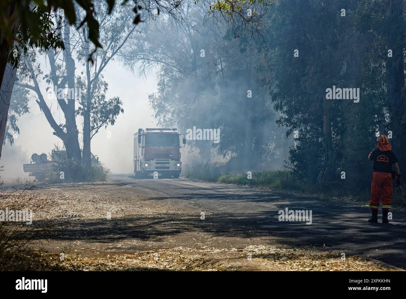 People escape from a fire with lots of smoke. tree devoured by flames ...