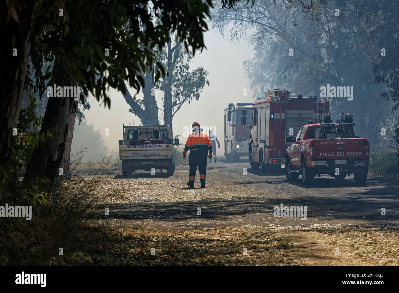 People escape from a fire with lots of smoke. tree devoured by flames ...