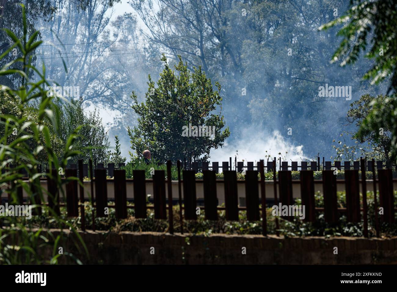 People escape from a fire with lots of smoke. tree devoured by flames ...