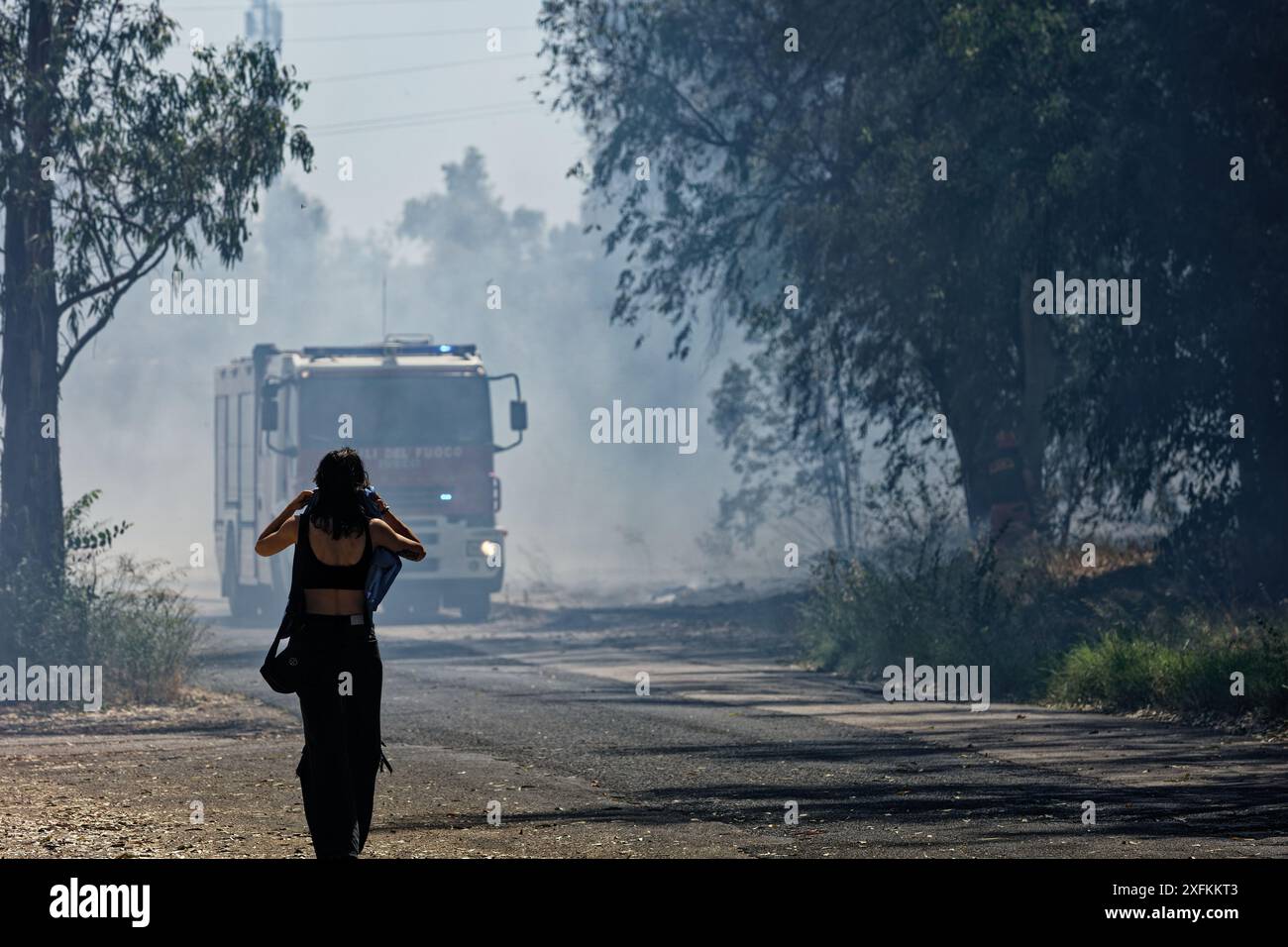 People escape from a fire with lots of smoke. tree devoured by flames ...