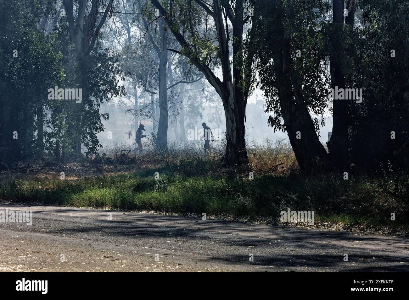 People escape from a fire with lots of smoke. tree devoured by flames ...