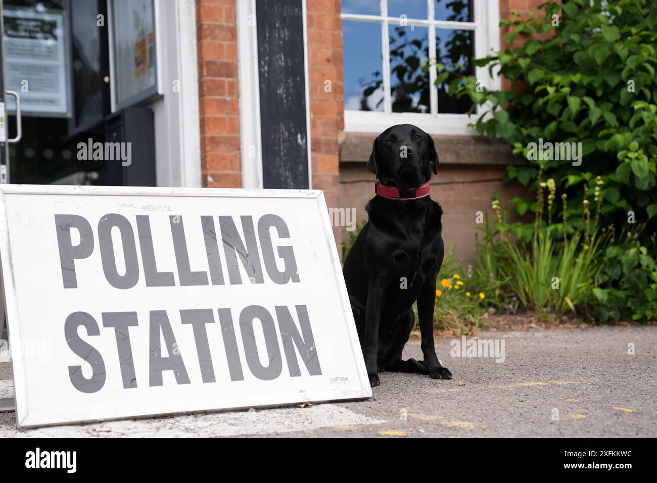 A black Labrador outside a polling station in Warwick during the 2024 ...