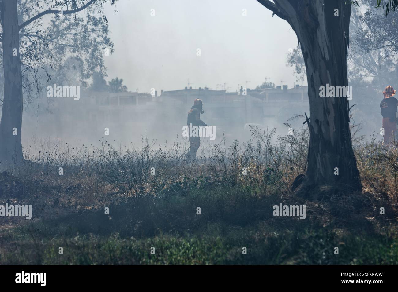 People escape from a fire with lots of smoke. tree devoured by flames ...