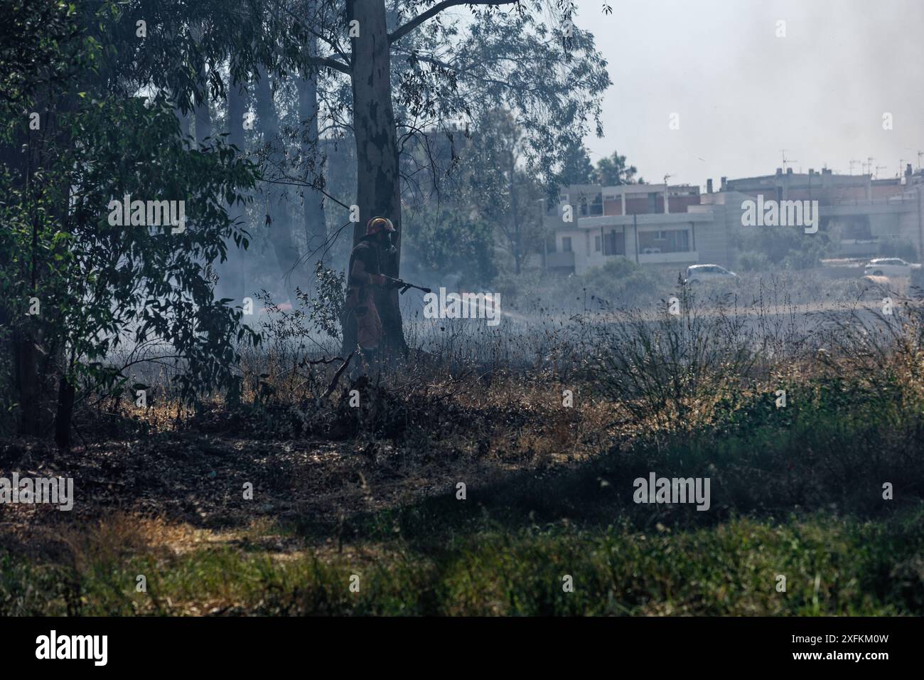 People escape from a fire with lots of smoke. tree devoured by flames ...