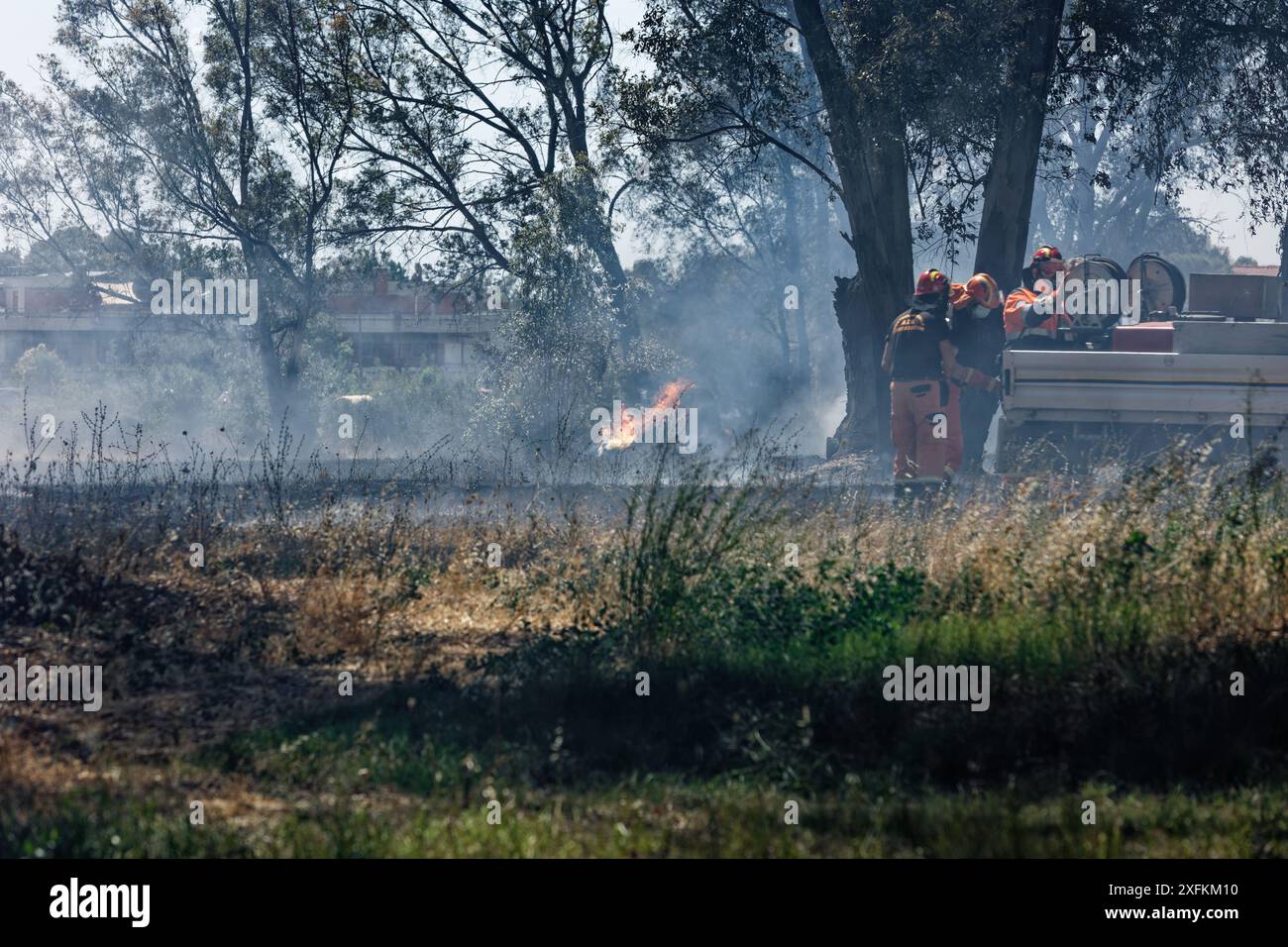 People escape from a fire with lots of smoke. tree devoured by flames ...