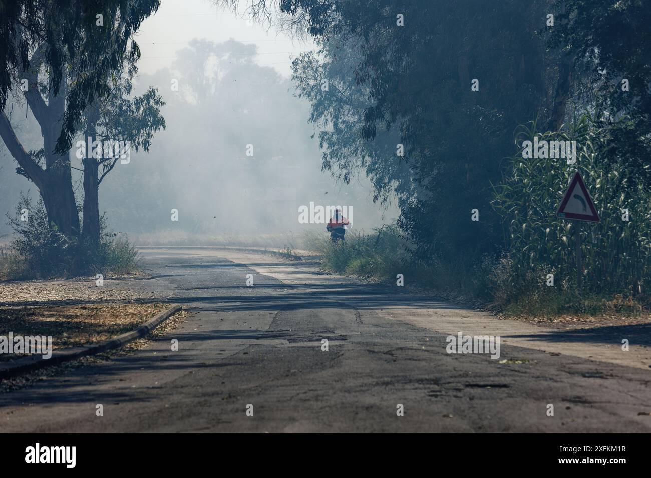 People escape from a fire with lots of smoke. tree devoured by flames ...