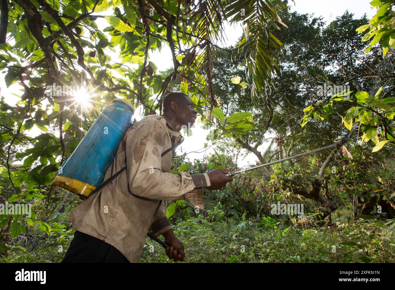 Cameroon people hi-res stock photography and images - Alamy