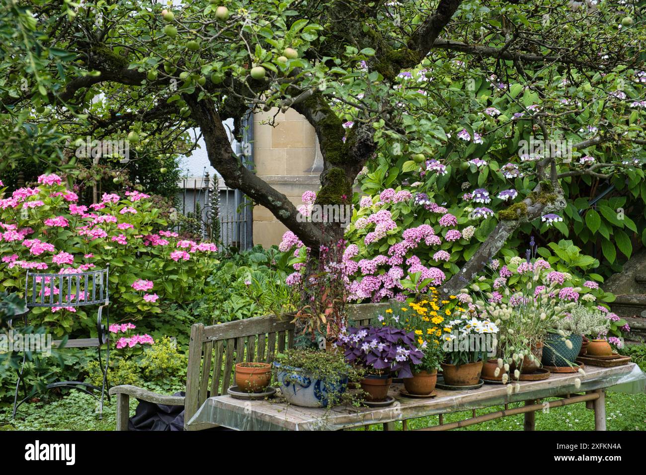 Idyllischer garten hi-res stock photography and images - Alamy