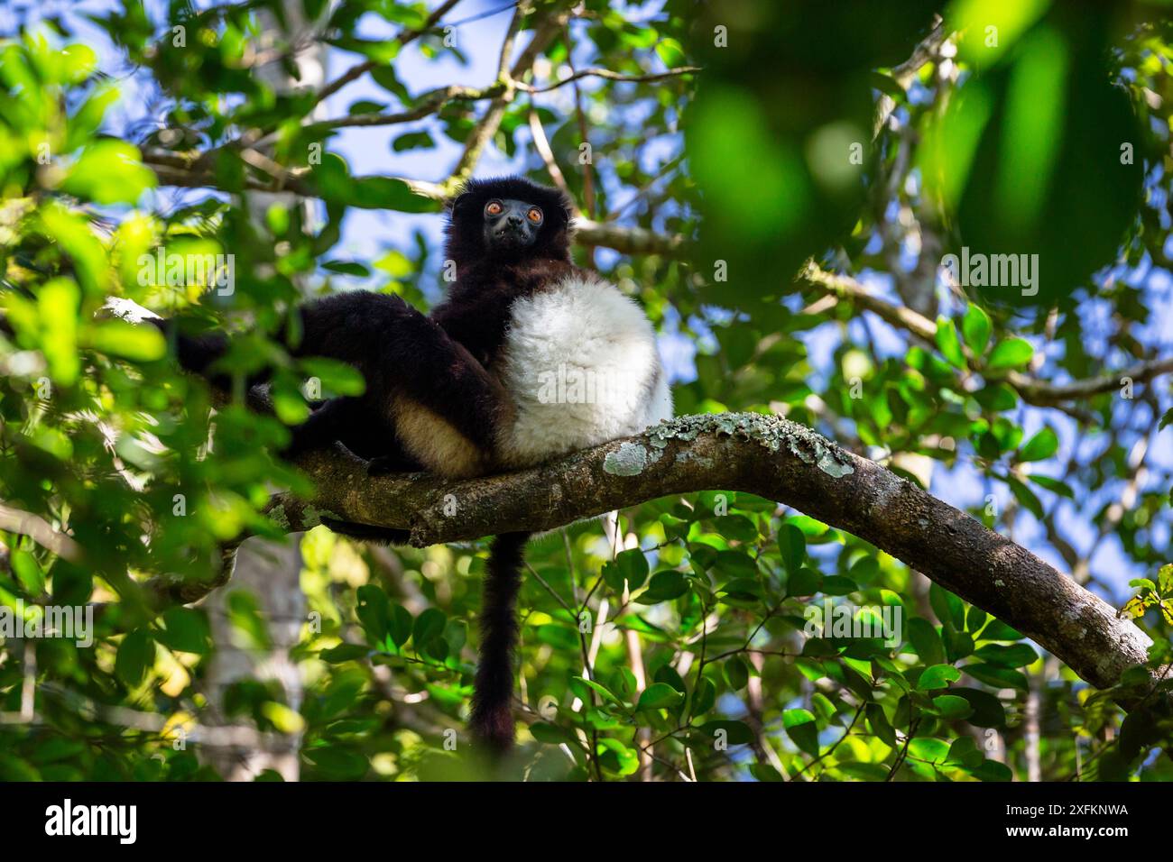 Np edwards hi-res stock photography and images - Alamy