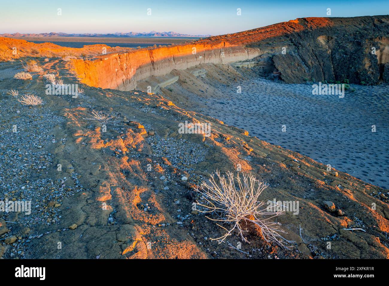 Desert environment in the Pinacate and Grand Desert Biosphere Reserve ...